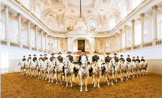 Biljetter till Spanska Ridskolan från Wien | BiljettShop.se