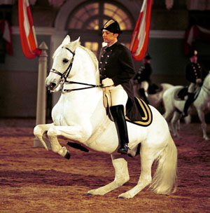 Biljetter till Den spanska ridskolan | BiljettShop.se